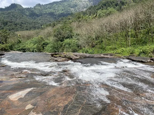 2023 Best Scenic Driving Trails in Kothamangalam | AllTrails