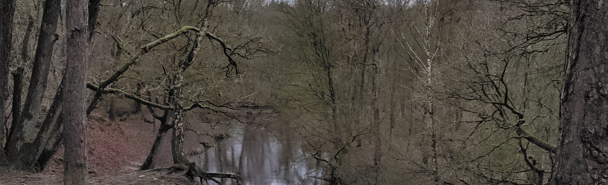 Ommetje Nunhems Ven: 32 Photos - Limburg, Netherlands | AllTrails