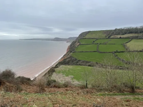 10 Best Hikes and Trails in East Devon National Landscape (AONB ...