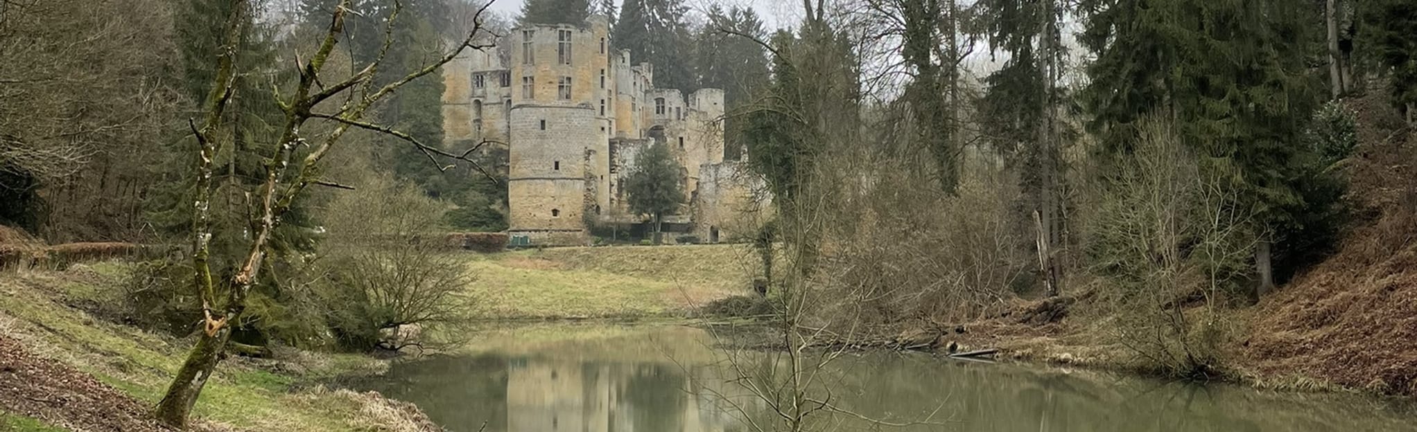 Premium hiking trail: Felsenweg 2: 911 foto's - Kanton Echternach ...