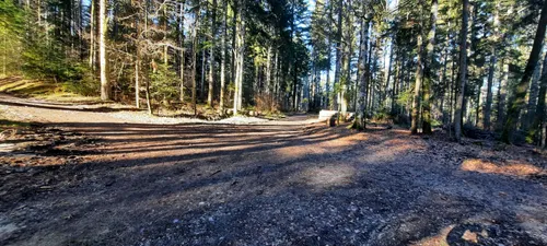 Best Walking Trails In La Forêt De Bouleyres Alltrails
