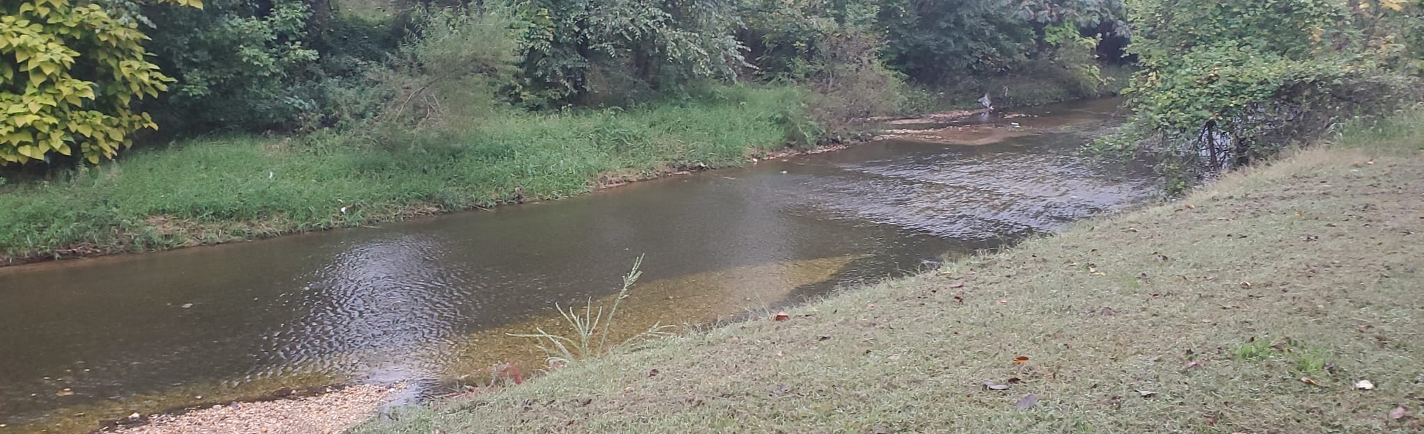 Oxon Run Loop, District of Columbia - 58 Reviews, Map | AllTrails