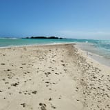 Bush Key Trail, Florida - 53 Reviews, Map | AllTrails