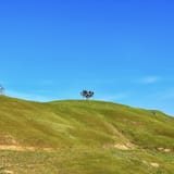 Timberhill Park Trail, California - 221 Reviews, Map | AllTrails