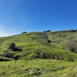 Timberhill Park Trail, California - 221 Reviews, Map | AllTrails