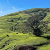 Timberhill Park Trail, California - 221 Reviews, Map | AllTrails