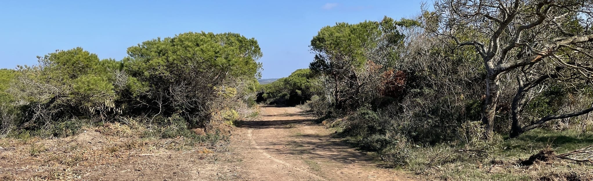 Rota do Miradouro da Grota Via Praia do Castelejo, Faro, Portugal - 5 ...