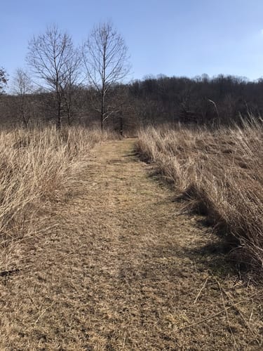 2023 Best trails in Irvine Nature Center | AllTrails