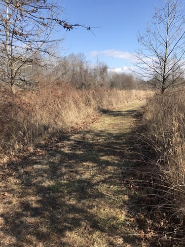 2023 Best trails in Irvine Nature Center | AllTrails