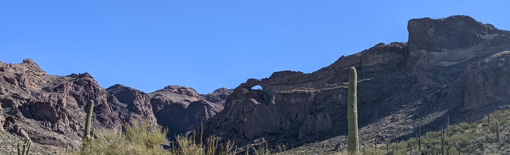 Ajo Mountain Drive, Arizona - 87 Reviews, Map | AllTrails