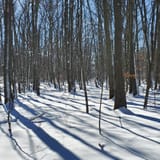 Rock Point Provincial Park, Ontario, Canada - 44 Reviews, Map | AllTrails