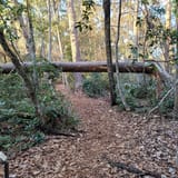 Oak Tree Nature Park Trail, Florida - 193 Reviews, Map | AllTrails