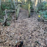 Oak Tree Nature Park Trail, Florida - 193 Reviews, Map | AllTrails