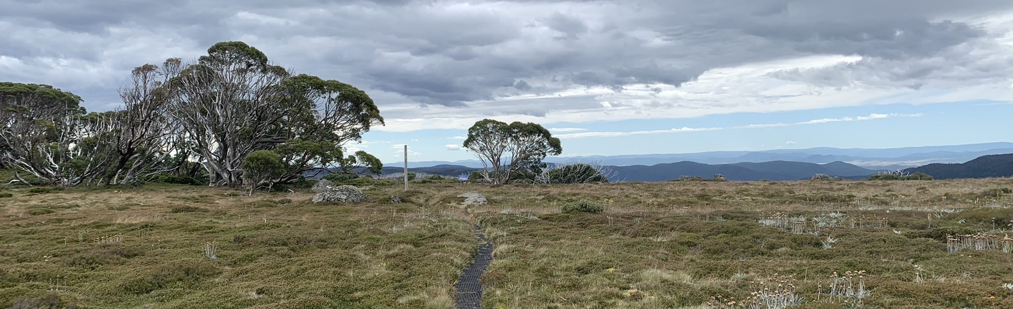 Cope Hut and Lake Loop , Victoria, Australia - 24 Reviews, Map | AllTrails