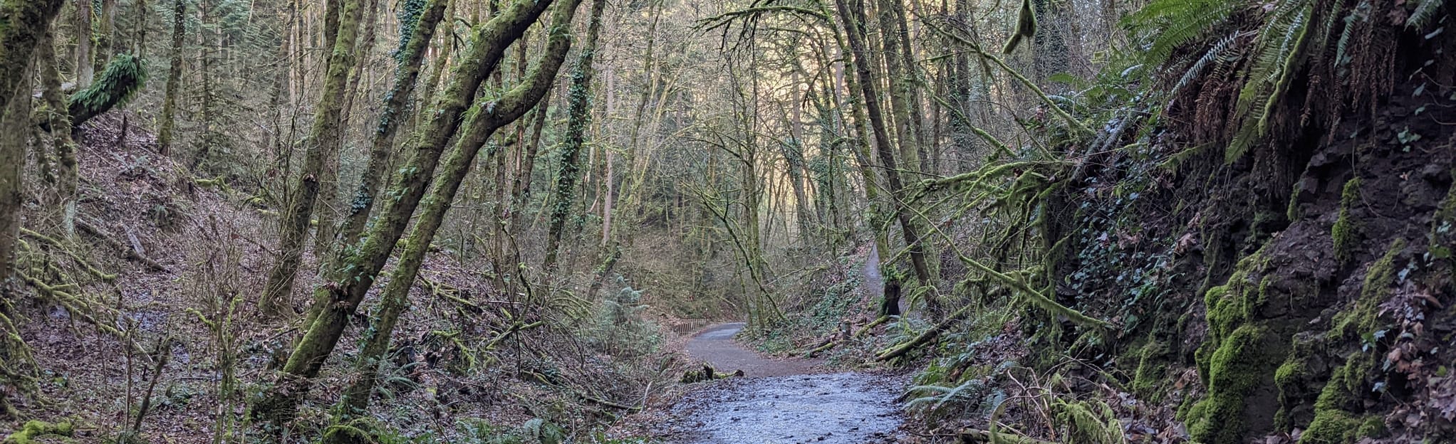 Connor Trail: 77 Reviews, Map - Oregon | AllTrails