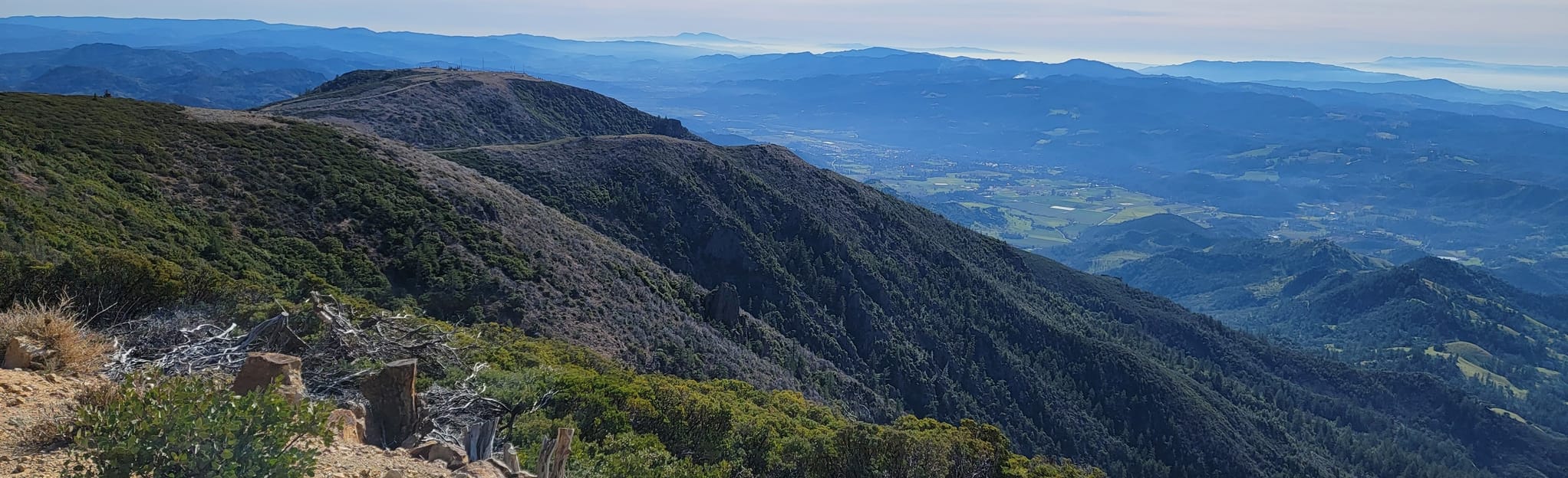 Mount Saint Helena Trail, California - 1,941 Reviews, Map | AllTrails