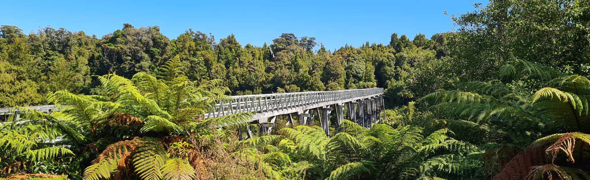 Hump Ridge Track: Okaka Lodge to Port Craig Lodge, Southland, New ...