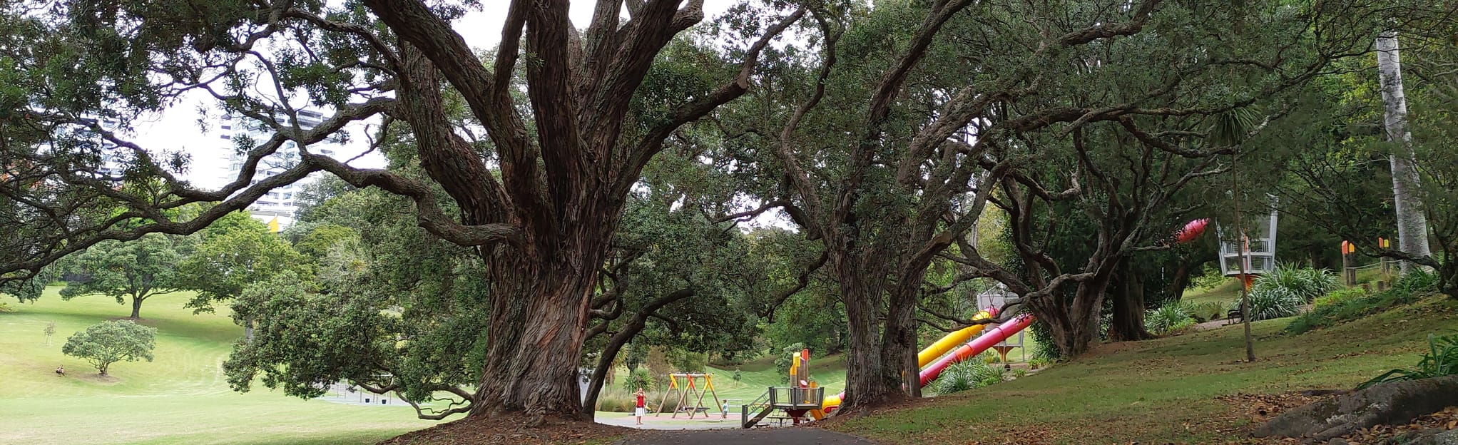 Western Park Path, Auckland, New Zealand - 21 Reviews, Map | AllTrails