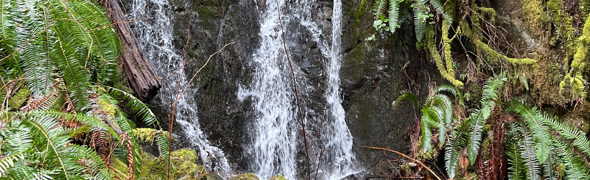 Alberni Inlet Trail Stage 3: Franklin River to Headquarters Bay: 9 ...
