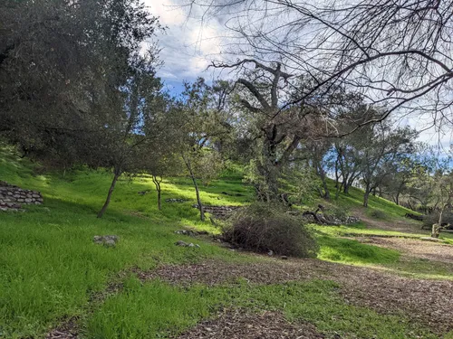 10 Best Trails and Hikes in Pasadena | AllTrails