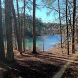 Bartram Trail: West Dam Recreation Area to Washington Road, South ...