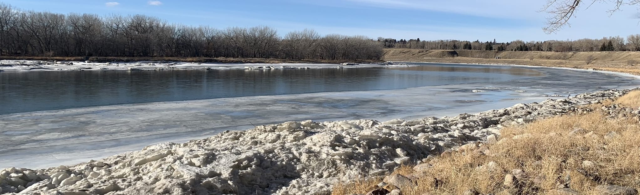 Police Point Park Loop, 63 Fotos - Alberta, Kanada | AllTrails