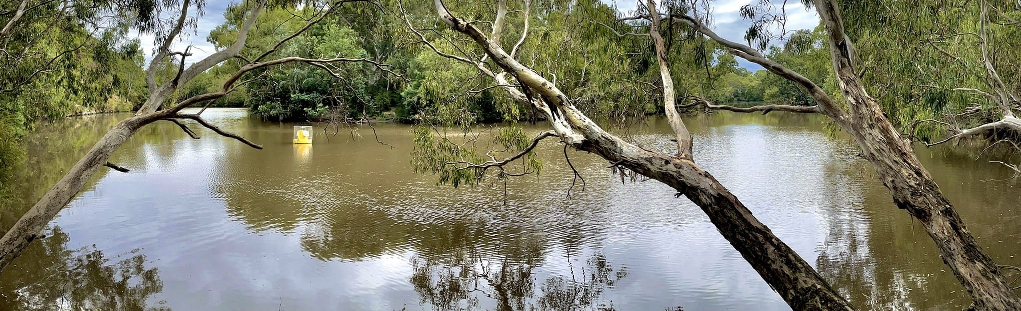 Galatea Point and Dights Falls Loop: 112 foto's - Victoria, Australië ...