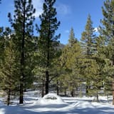 Hope Valley, California - 113 Reviews, Map | AllTrails
