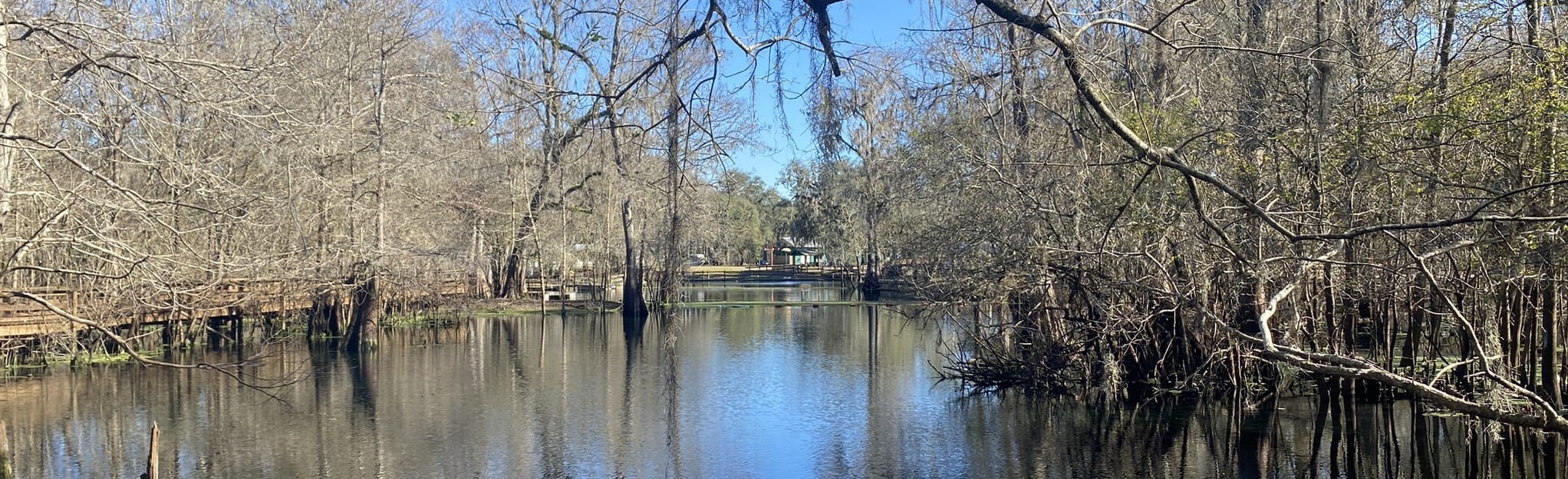 Hart Springs Boardwalk Trail, Florida - 25 Reviews, Map | AllTrails