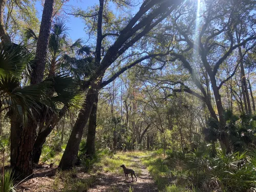 Best Hikes and Trails in Caravelle Ranch Wildlife Management Area ...