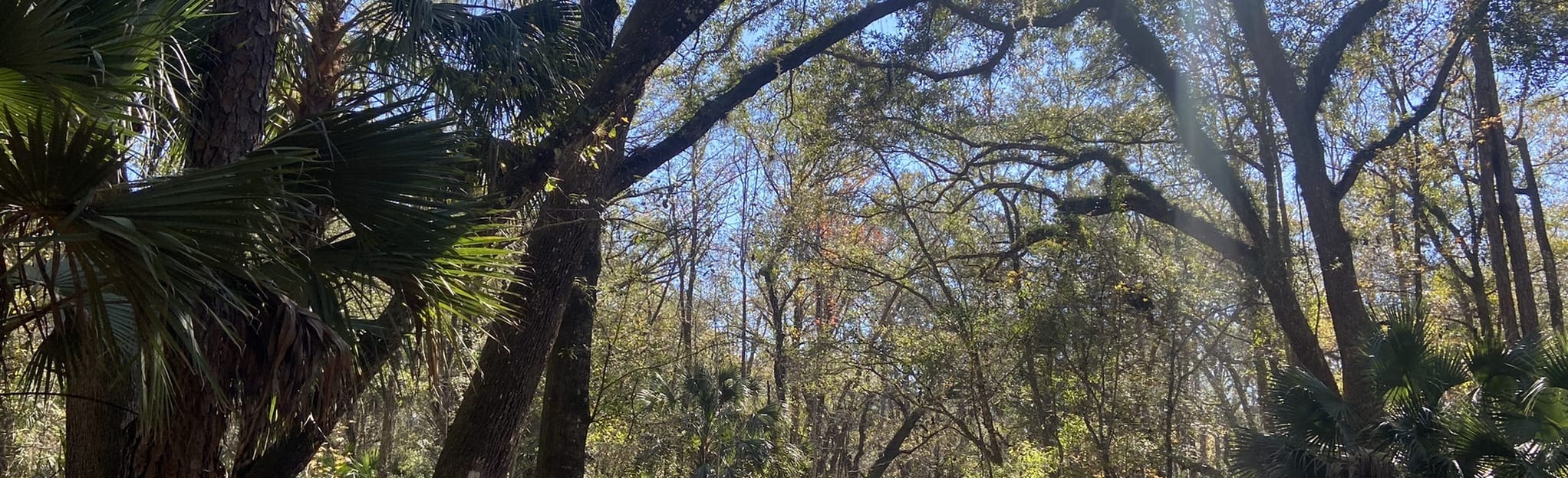 Caravelle Ranch White, Yellow and Red Loop - Florida | AllTrails