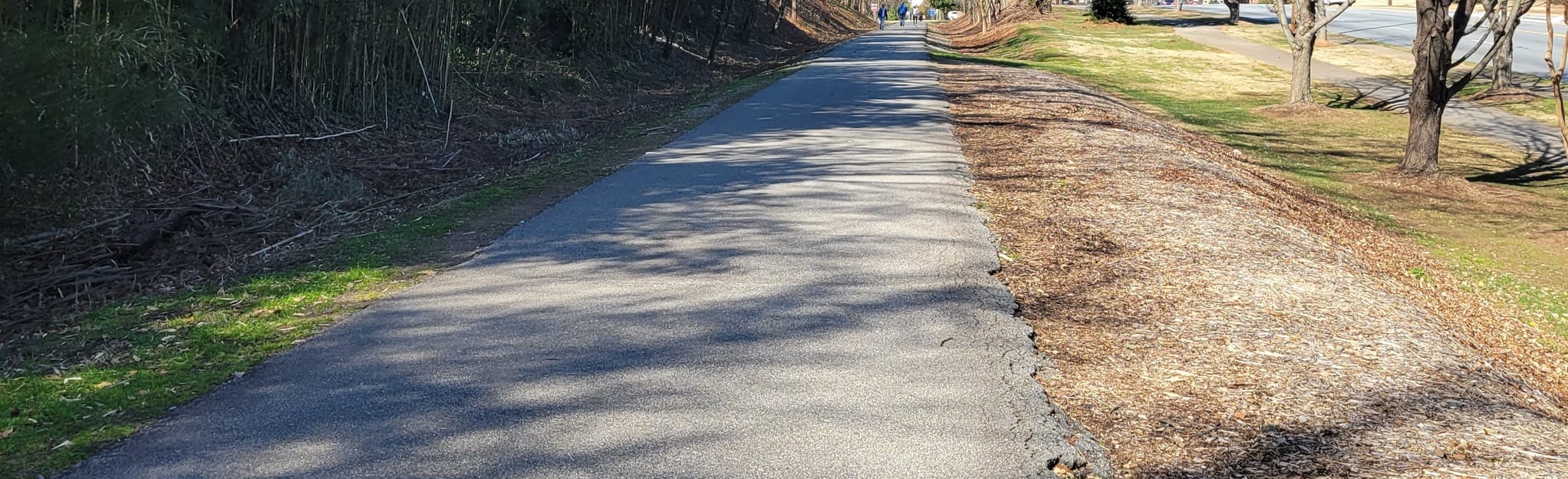Mary Black Rail Trail: 236 Reviews, Map - South Carolina | AllTrails