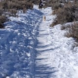 Round Valley, Utah - 191 Reviews, Map | AllTrails