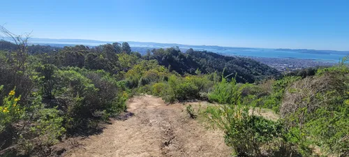 10 Best Trails and Hikes in Berkeley | AllTrails