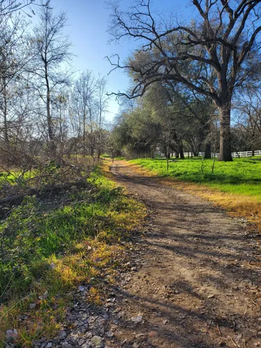 Best Hikes and Trails in Traylor Ranch Nature Reserve | AllTrails
