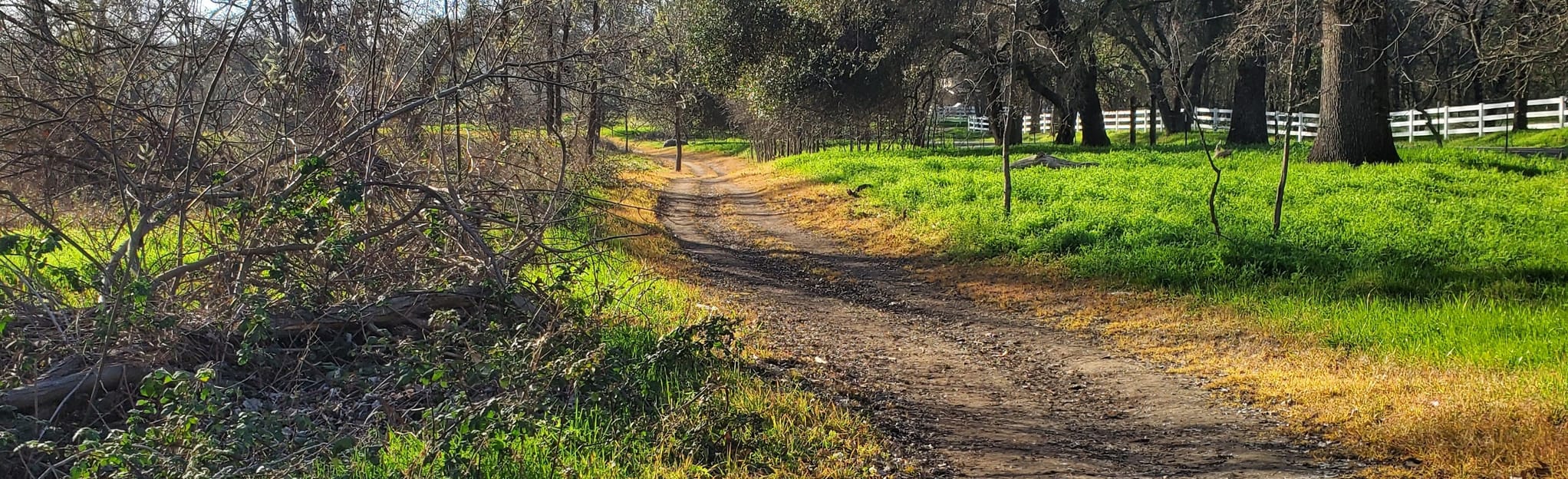 Traylor Ranch Nature Reserve and Bird Sanctuary Loop Trail, California ...