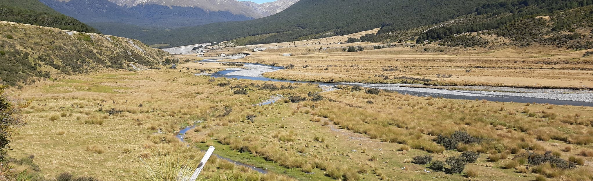 McKellar Hut to Greenstone Hut, Otago, New Zealand - 11 Reviews, Map ...