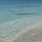 Bush Key Trail, Florida - 53 Reviews, Map | AllTrails