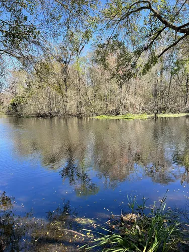 Best Hikes and Trails in Potts Preserve | AllTrails