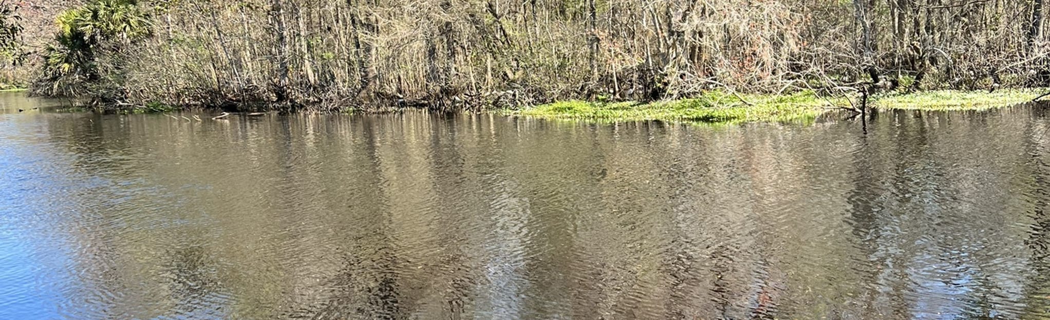 Pott's Preserve via Florida Trail: 54 Reviews, Map - Florida | AllTrails