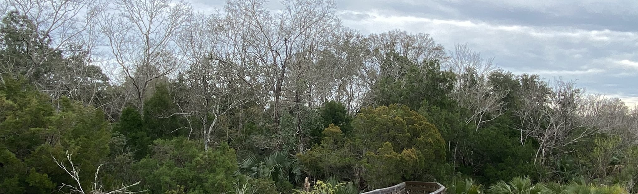 Scipio Creek Boardwalk, Florida - 34 Reviews, Map | AllTrails