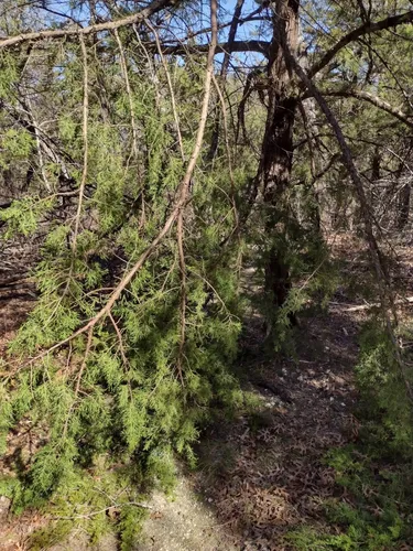 Best Easy Trails in Bonham State Park | AllTrails