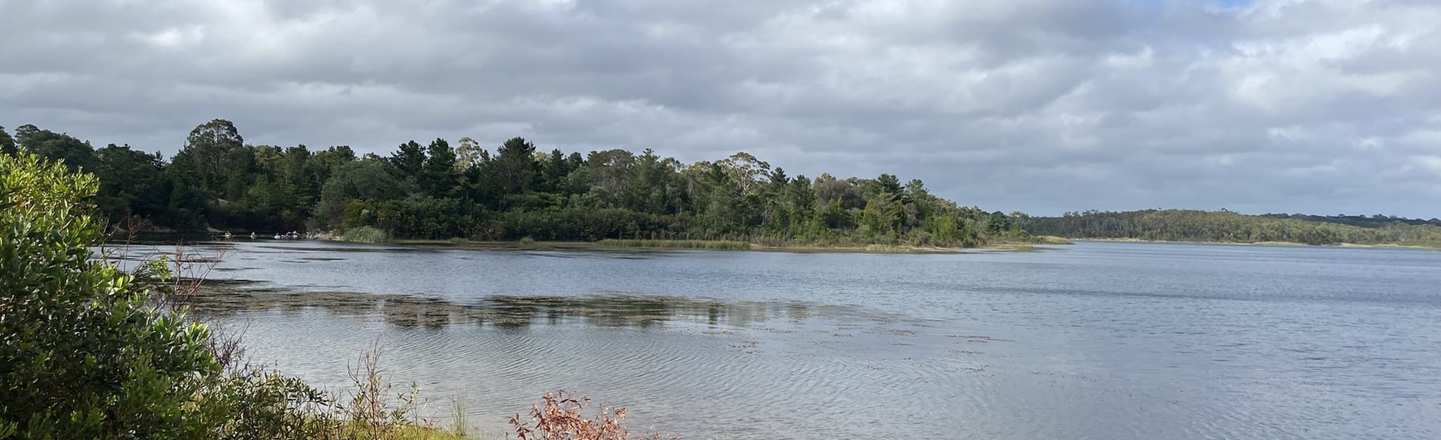 Devilbend Reservoir Short Loop, Victoria, Australia - 74 Reviews, Map ...