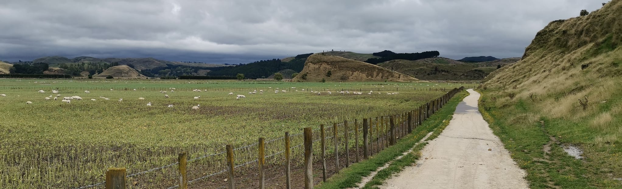 Whakamaharatanga Walkway: 5 Reviews, 9 Photos, Map - Hawke's Bay, New ...