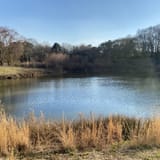 Lake Herrick and Herrick Creek Loop, Georgia - 382 Reviews, Map | AllTrails