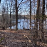 Lake Herrick and Herrick Creek Loop, Georgia - 382 Reviews, Map | AllTrails