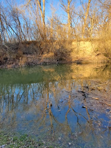 Best Hikes and Trails in Granger Wildlife Management Area | AllTrails