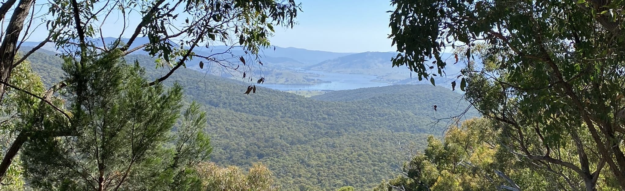 Mount Granya Loop - Victoria, Australia | AllTrails