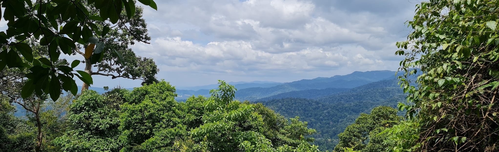 Gunung Angsi, Negeri Sembilan, Malaysia - 686 Reviews, Map | AllTrails
