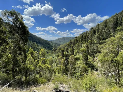 10 Best Trails and Hikes in Victoria | AllTrails